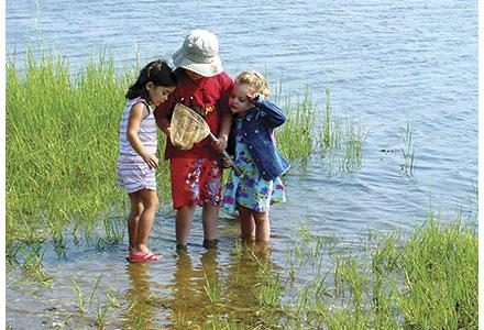 Cape Cod Family Attractions - Boston Parents Paper