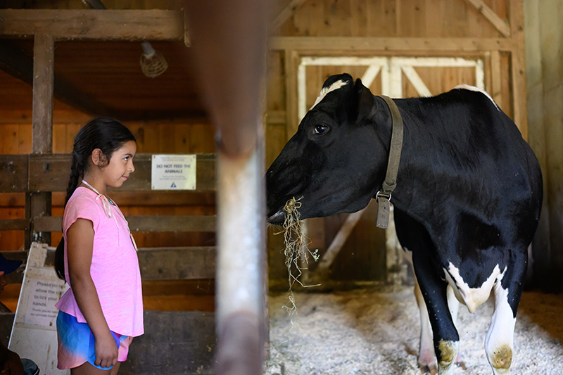 Mass Audubon Nature Camps in Lincoln, Massachusetts - Boston Parents Paper